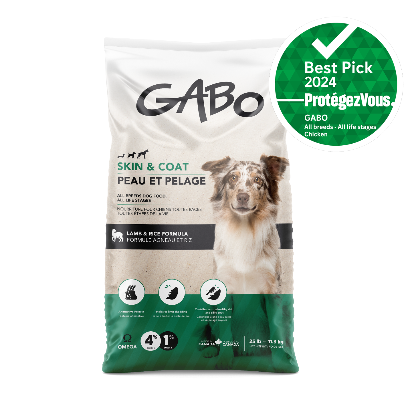GABO-PP-Large-1-en - Gabo